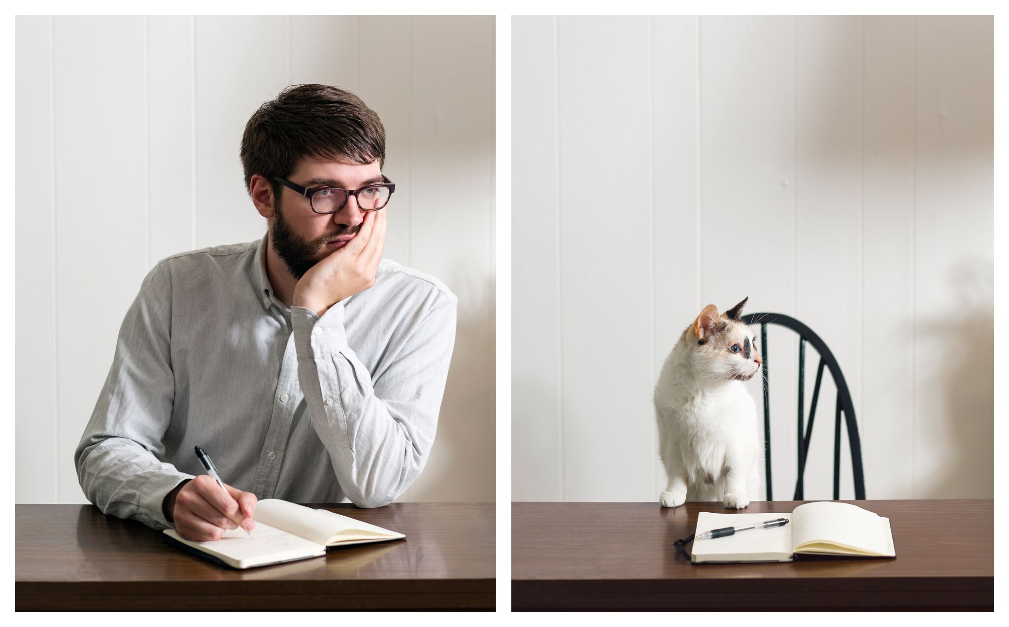 Tyler Daniel Bean - Signal Kitchen